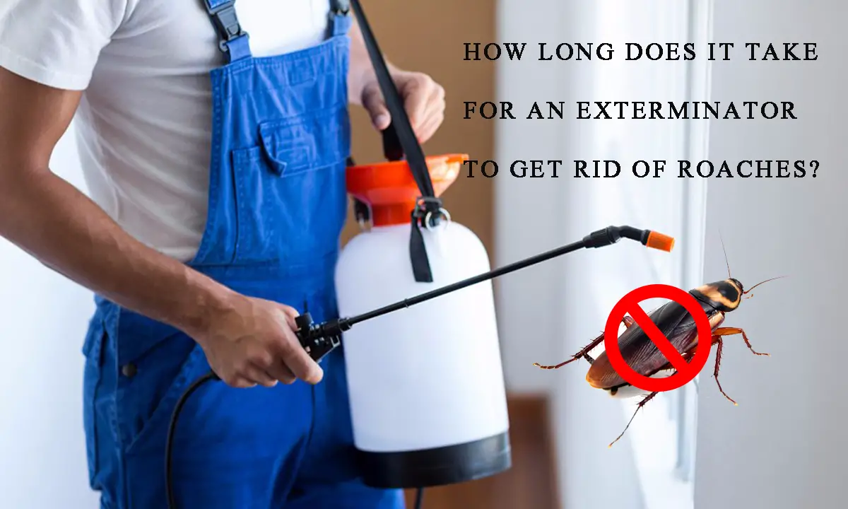 How Long Does It Take for an Exterminator to Get rid of Roaches?